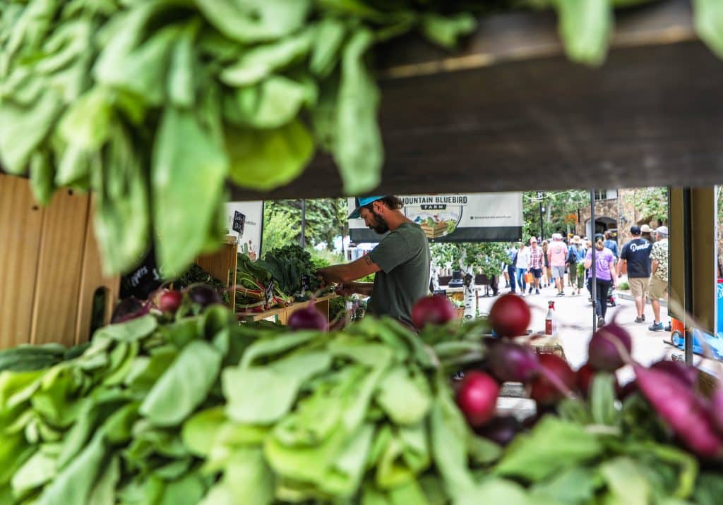 Gear swaps, last Vail Farmers’ Market, honoring our heroes, a cozy ...