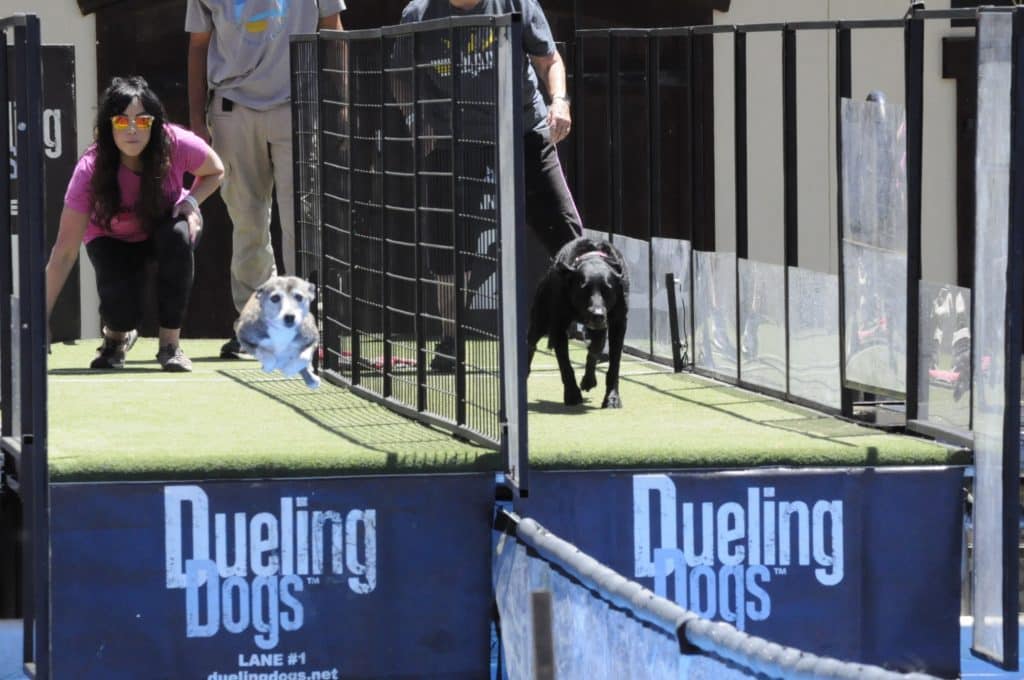 Dog Town delivers at day three of GoPro Mountain Games | VailDaily.com