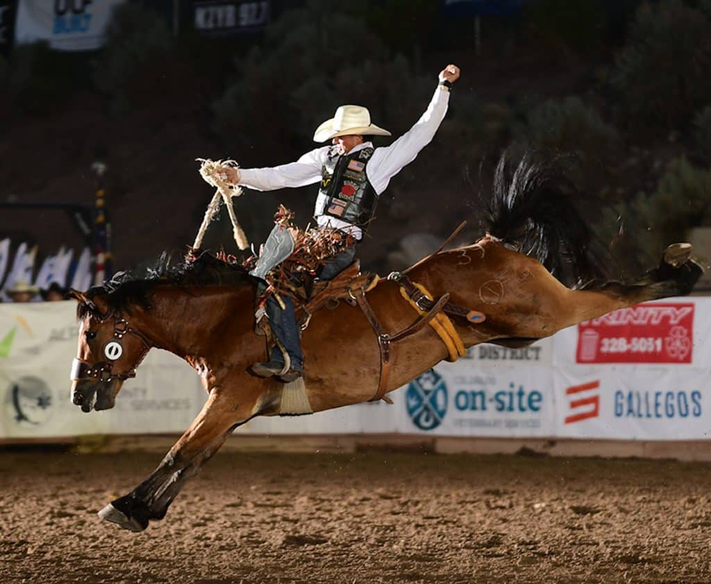 Rodeo, dance, art shows, silent disco and uphill races: Tricia’s ...