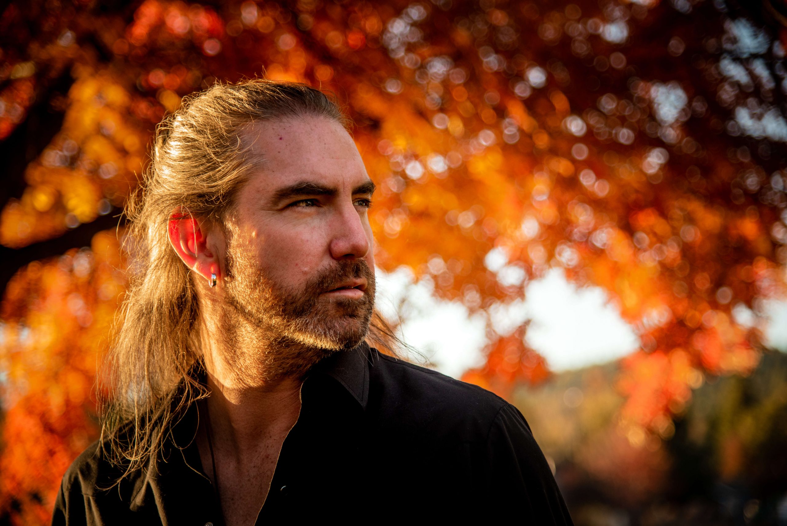 Random Rab performs at Agave in Avon | VailDaily.com