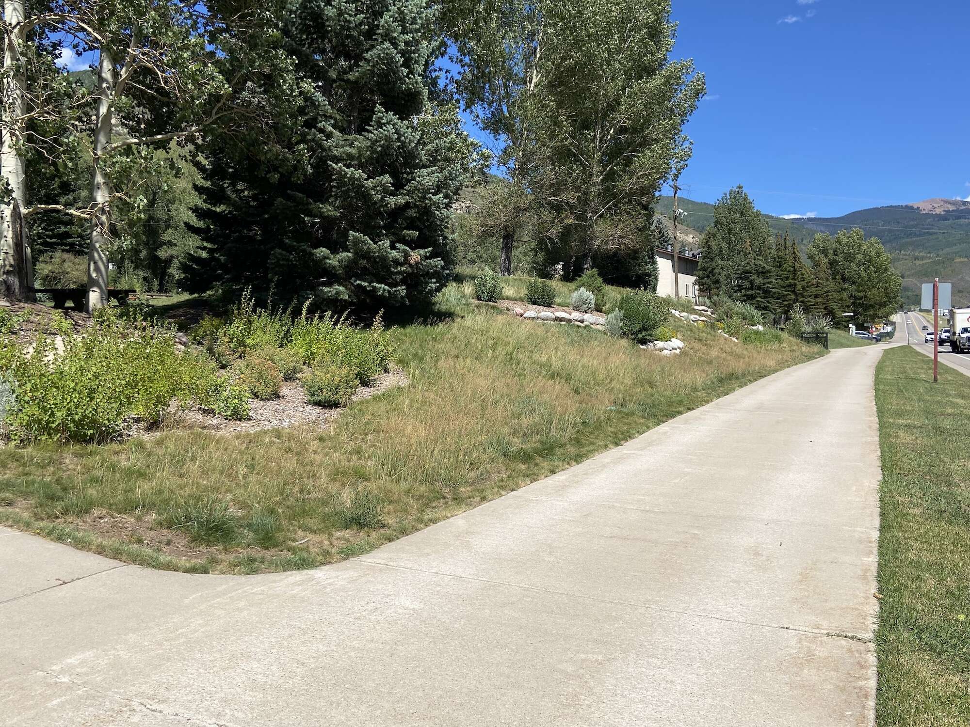 Vail looks to cut back on turf grass | VailDaily.com