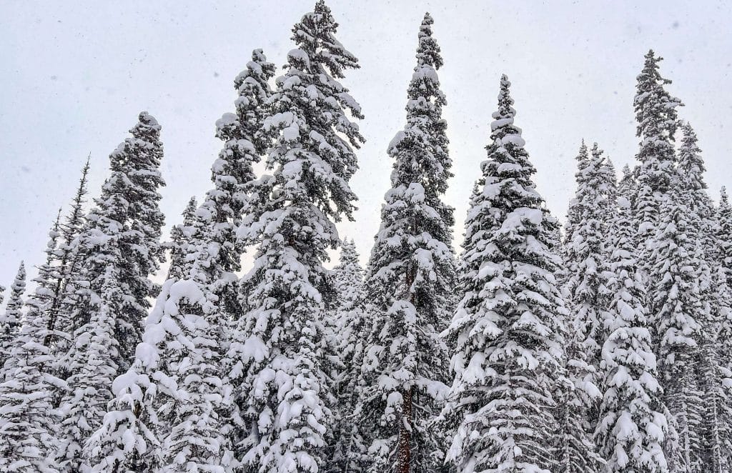 Vail, Eagle County to see a snowy New Year’s under winter storm warning ...
