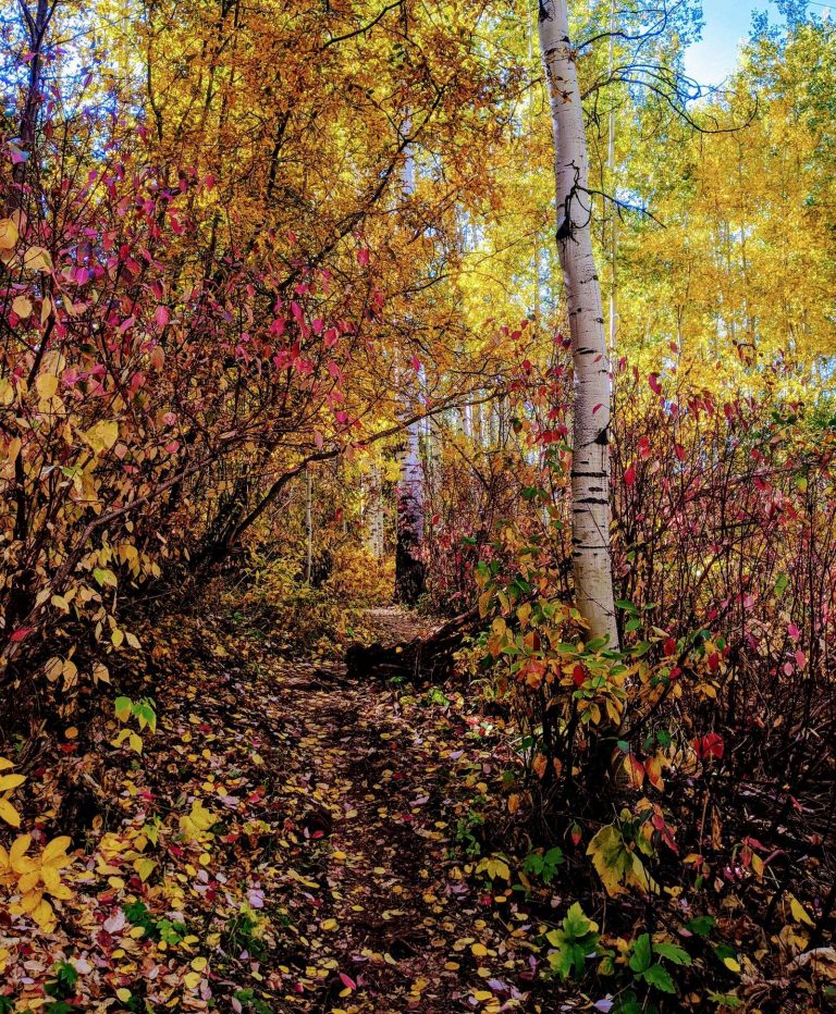 9 of the Vail Valley's best fall foliage hikes | VailDaily.com