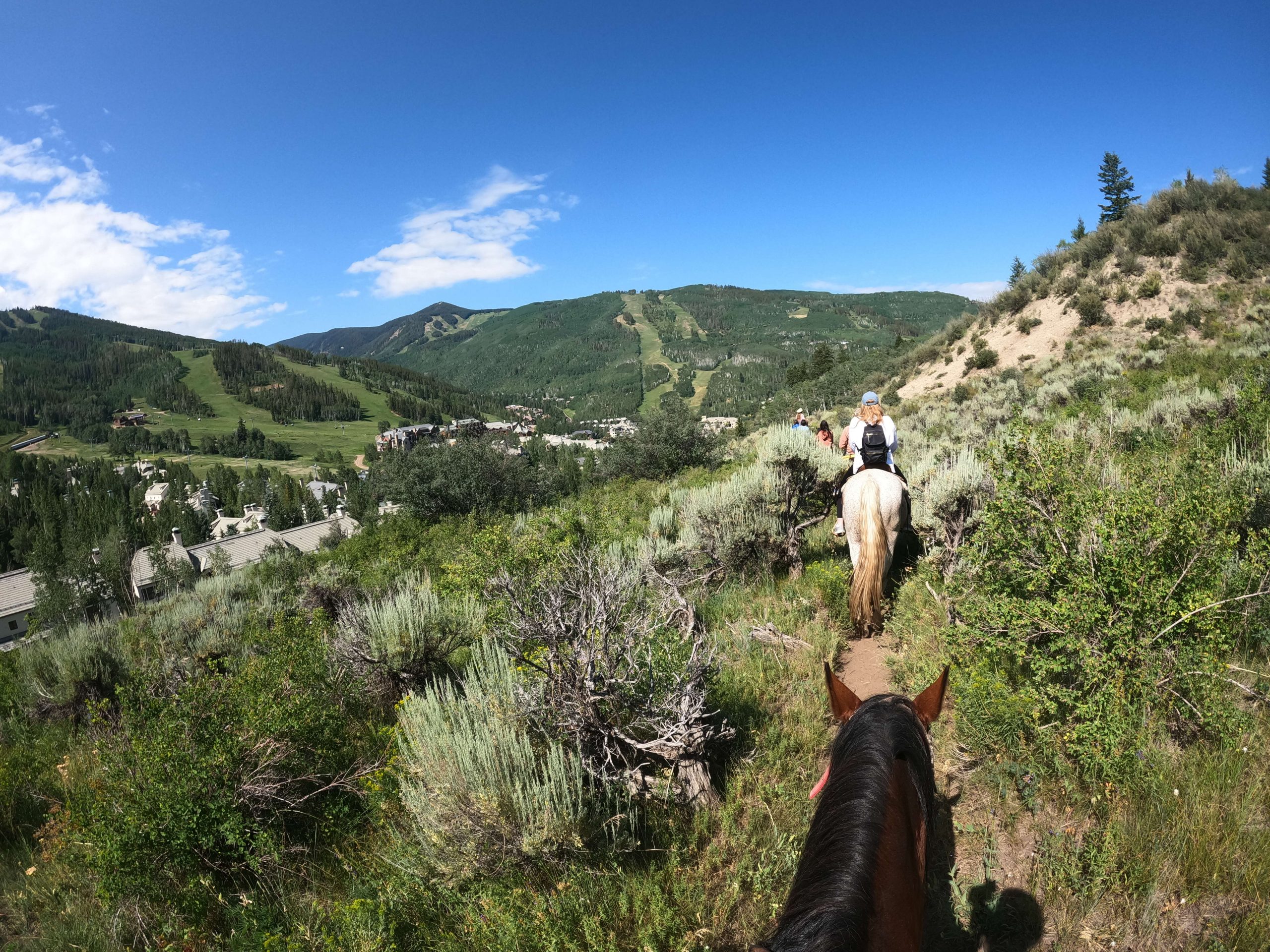Experience Beaver Creek Mountain like never before | VailDaily.com