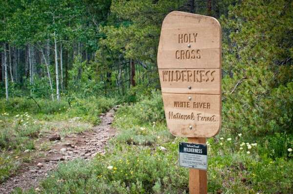 Curious Nature: What is Wilderness? | VailDaily.com