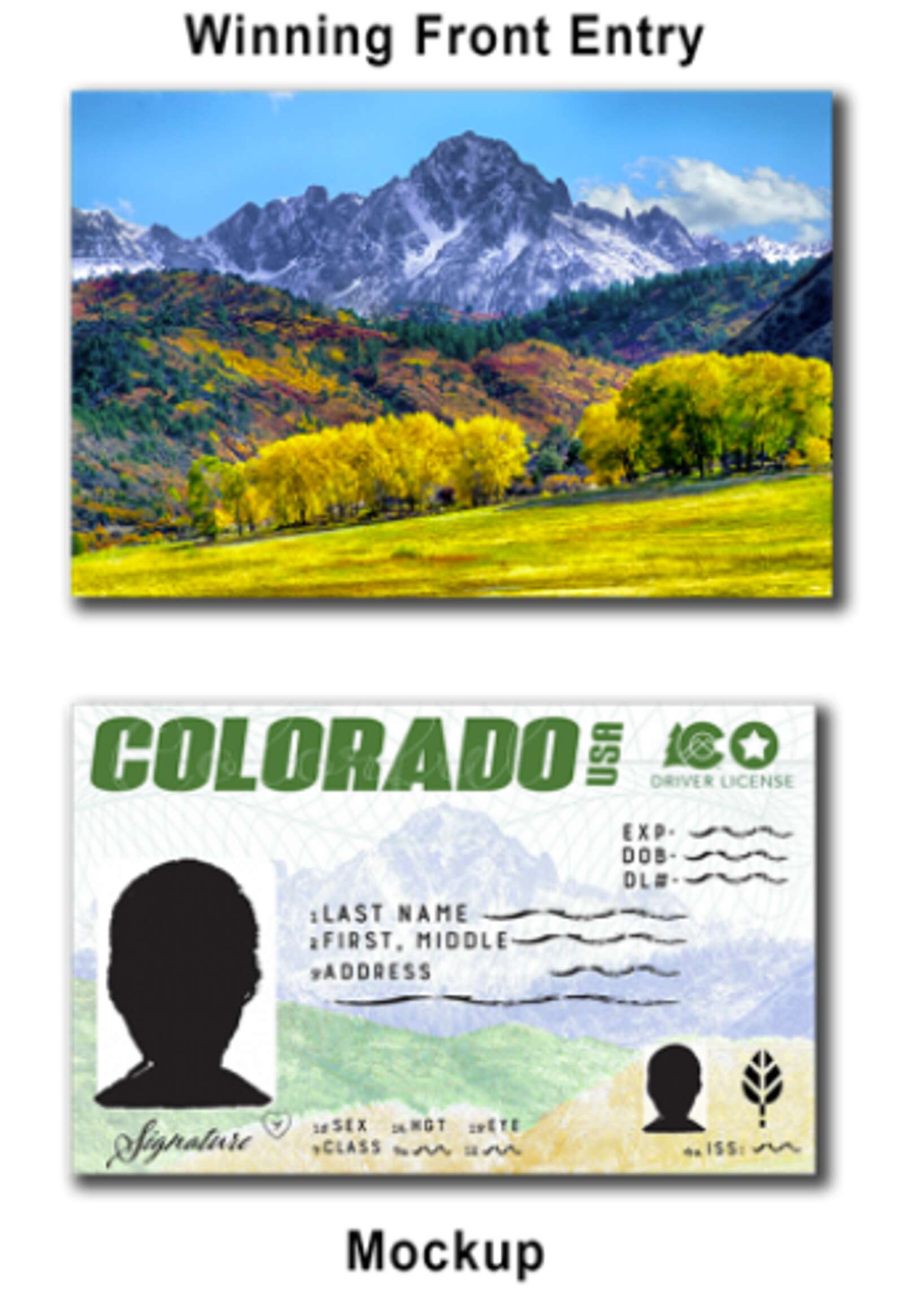 Glenwood Springs man’s photograph to grace front of Colorado drivers ...