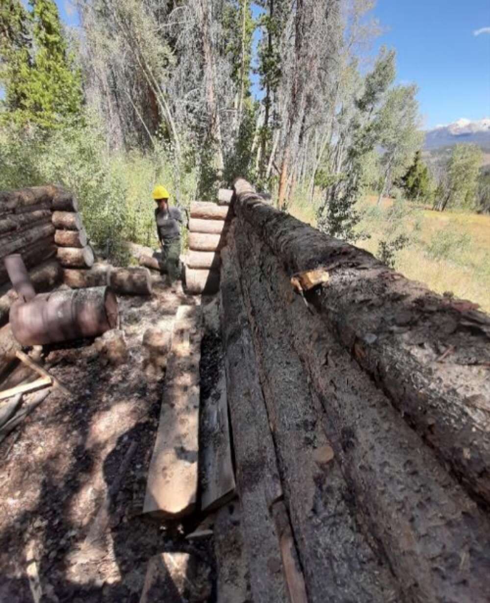 Illegal cabins, unattended fires, trash and poop: How COVID-19 ...