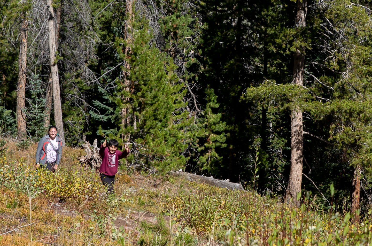 Walking Mountains Science Center’s Climb It for Climate event educates ...
