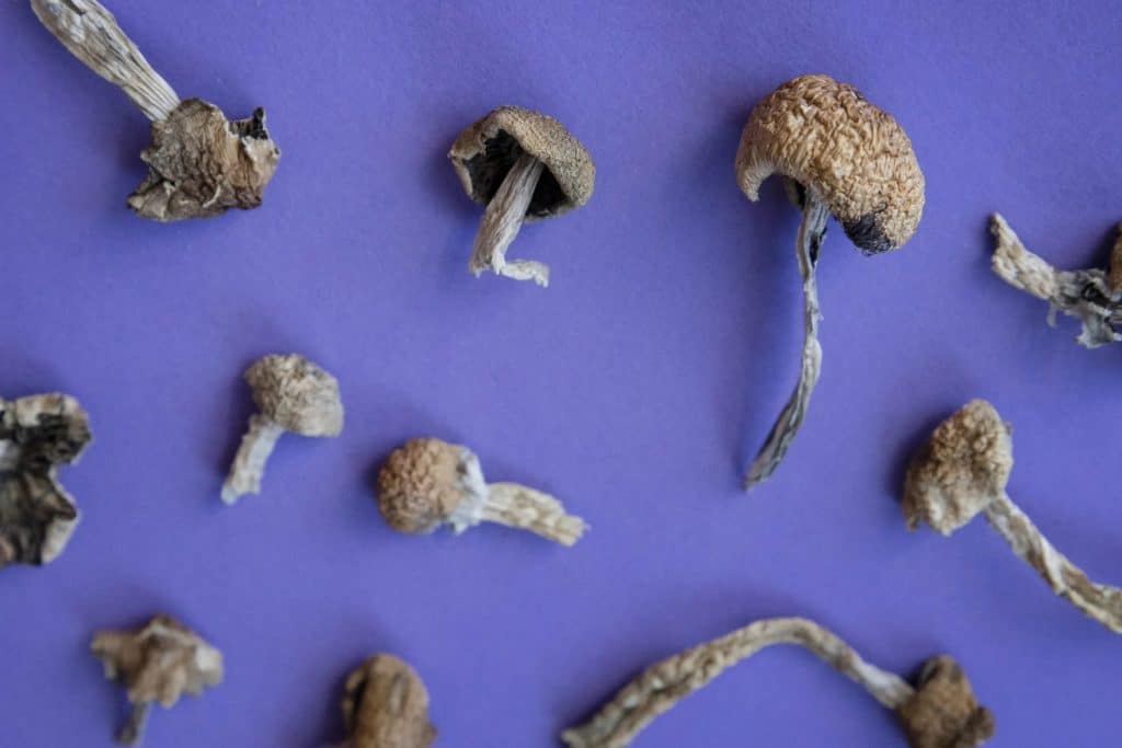 Colorado regulators are really tripping as they prepare to roll out ...