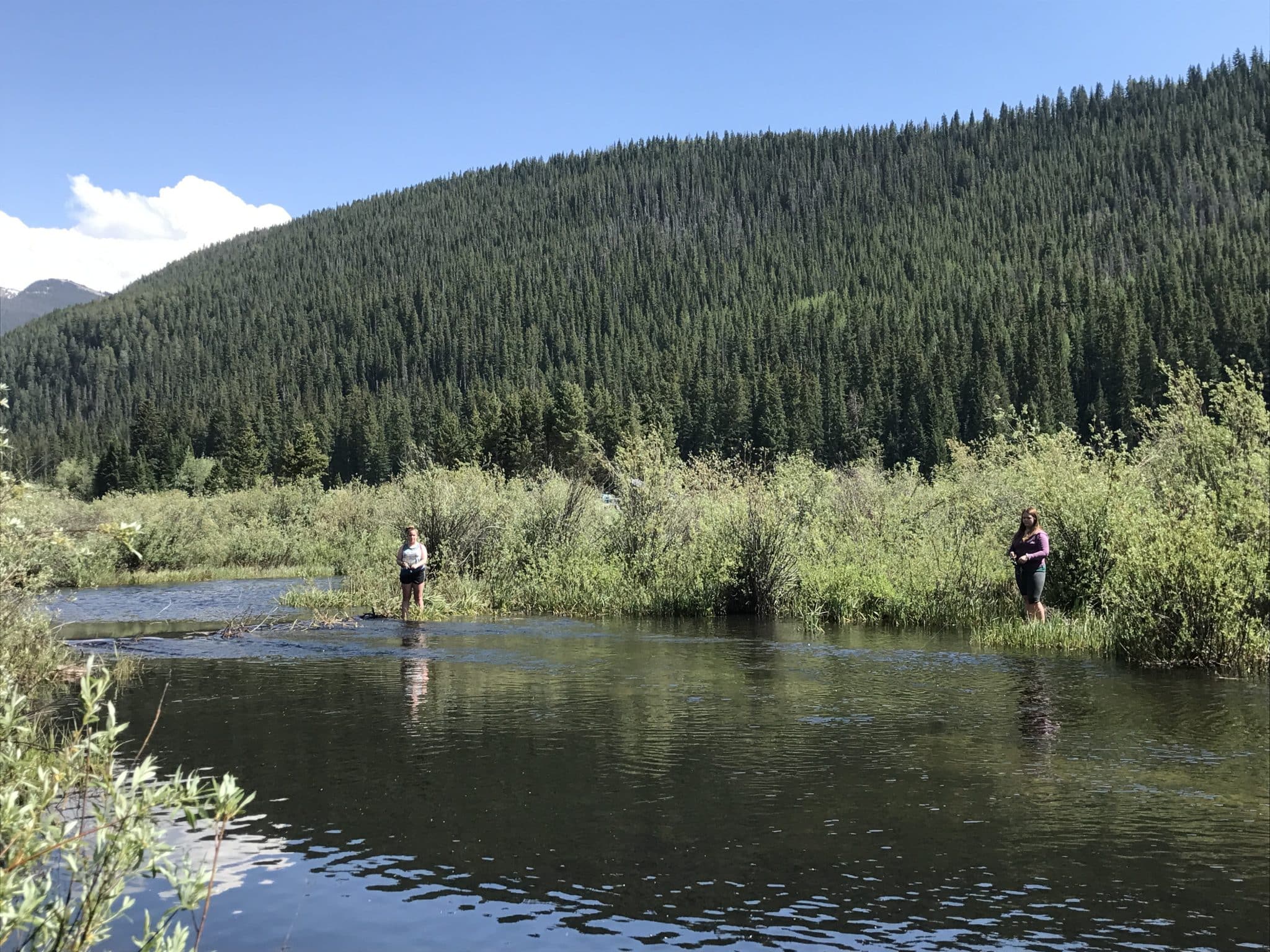 Salomone: My love affair with Brookie. | VailDaily.com