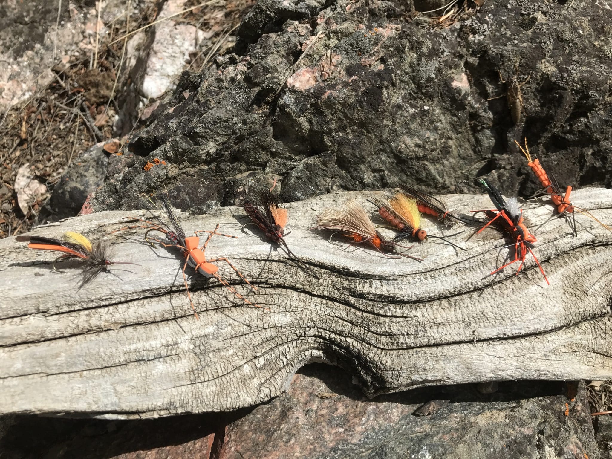 Salomon: Salmonfly — hatches we dream about. | VailDaily.com