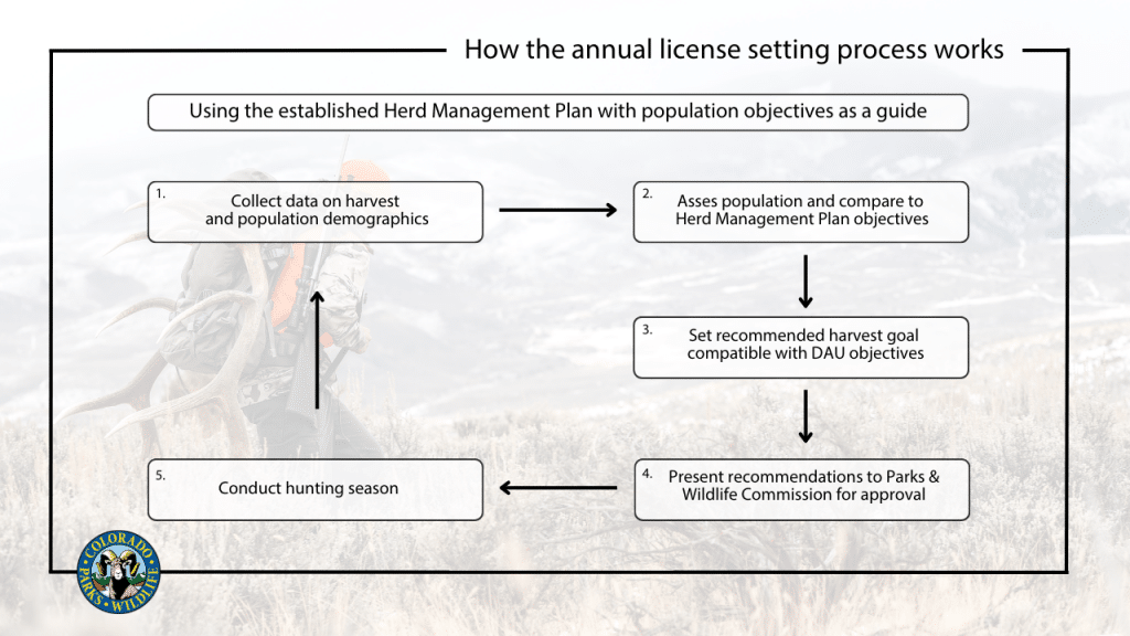 Colorado Parks and Wildlife reduces big-game hunting licenses and ...