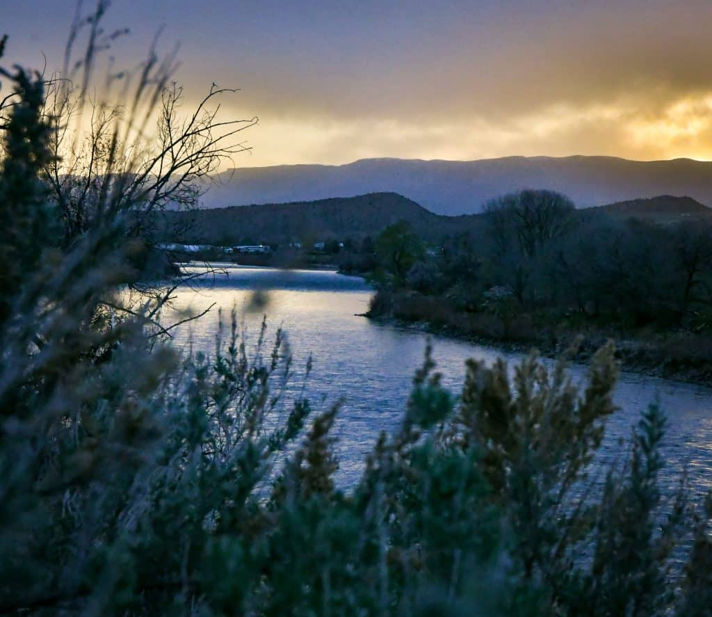 Naturaleza curiosa: La Primavera para el Río De Colorado | VailDaily.com