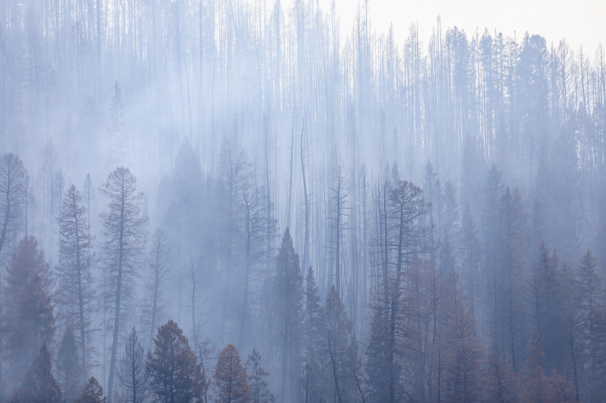 UPDATE: Sylvan Fire now 50% contained | VailDaily.com