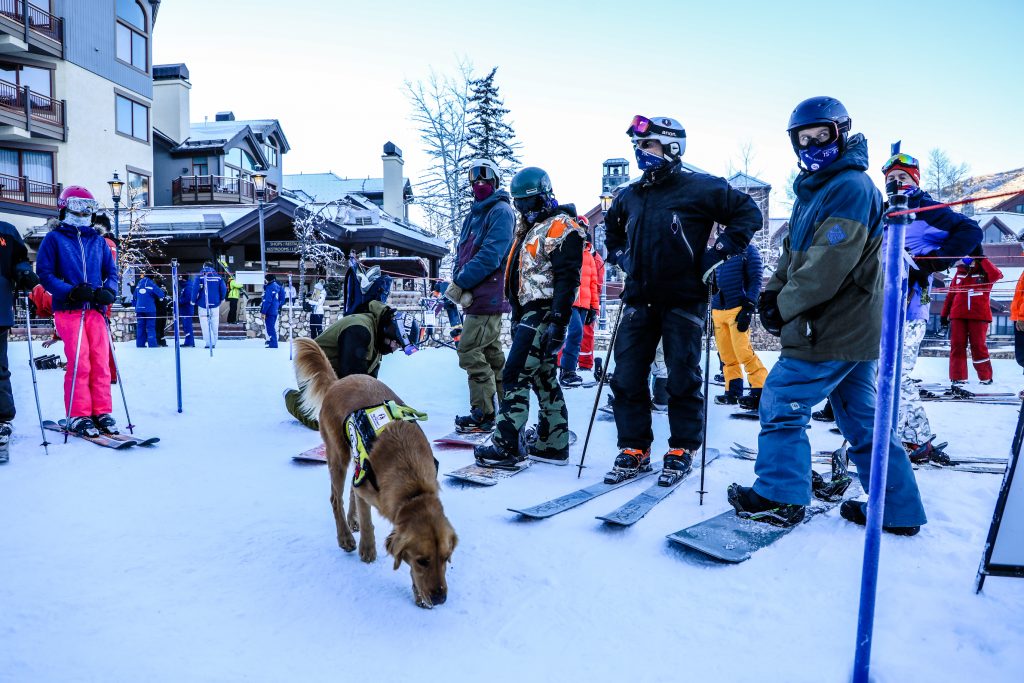 Vail Resorts’ Rob Katz moving into new role, Kirsten Lynch to be ...