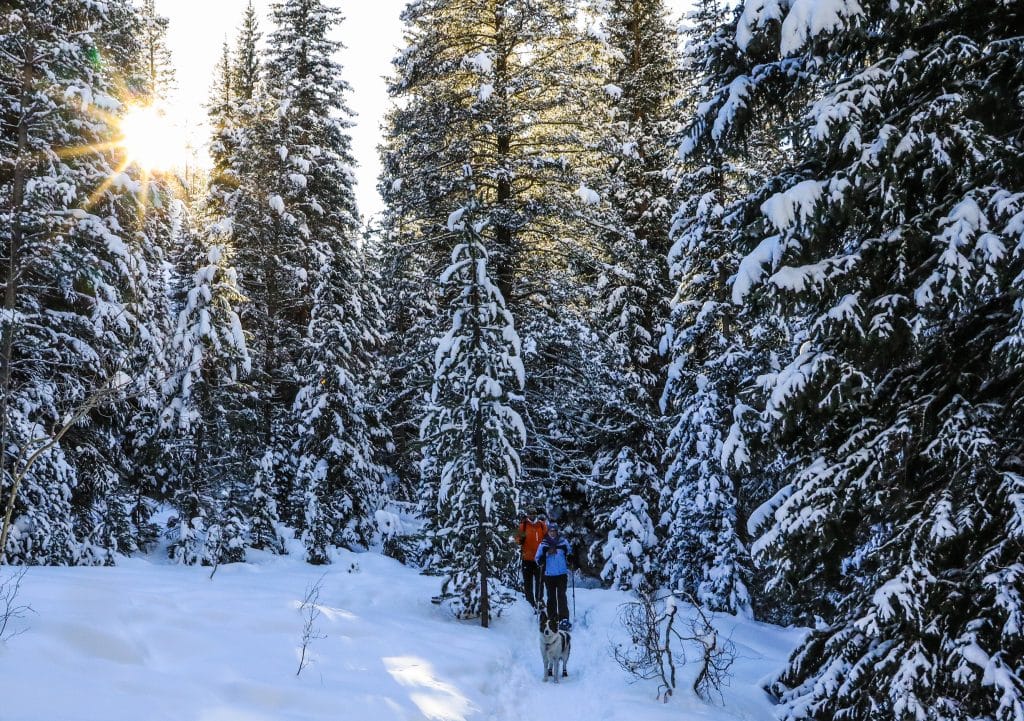 EVOM: Zona subniveana: Vida bajo la nieve | VailDaily.com