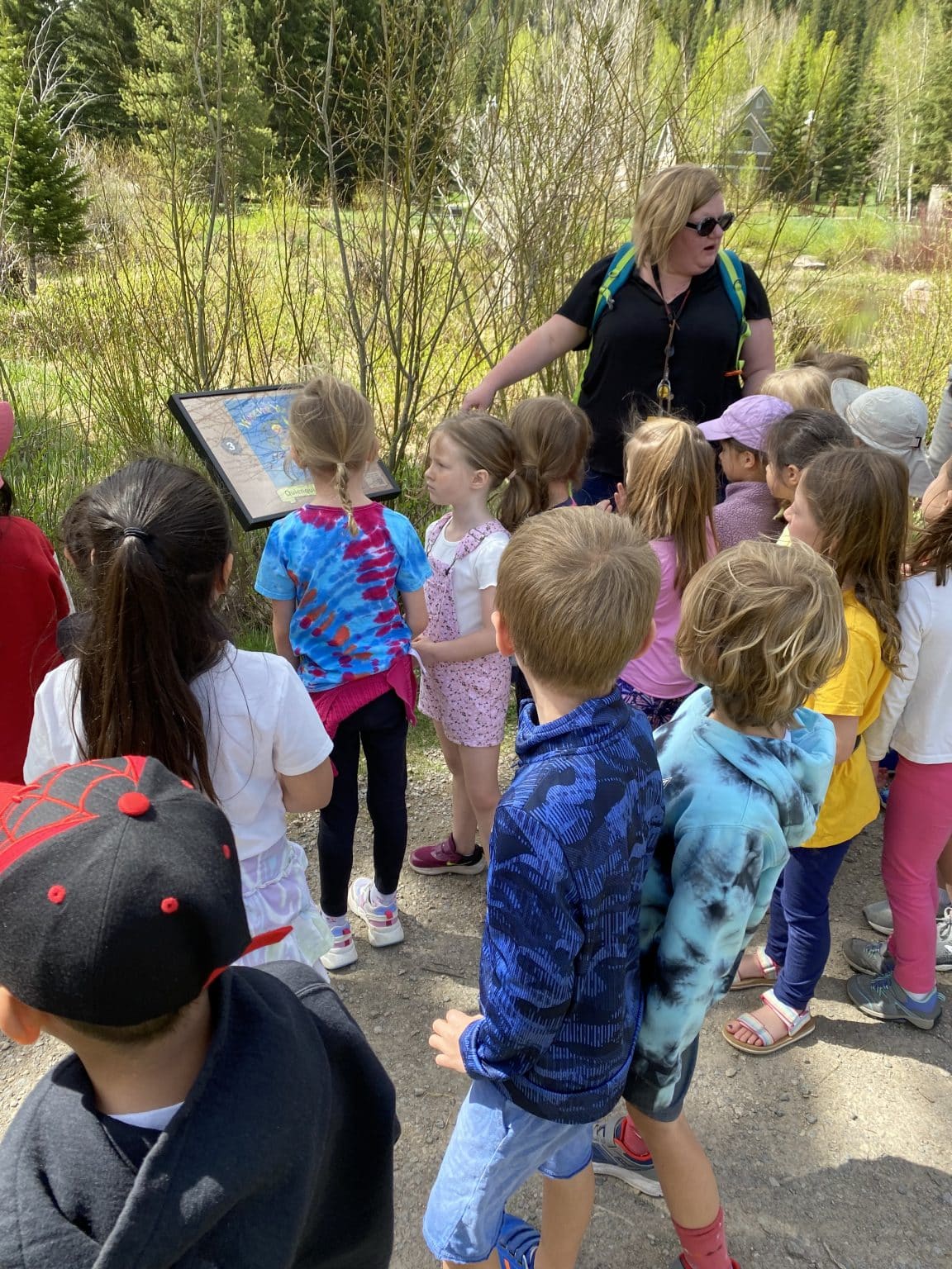 Vail Library kicks off summer with reading program, new StoryWalk book ...