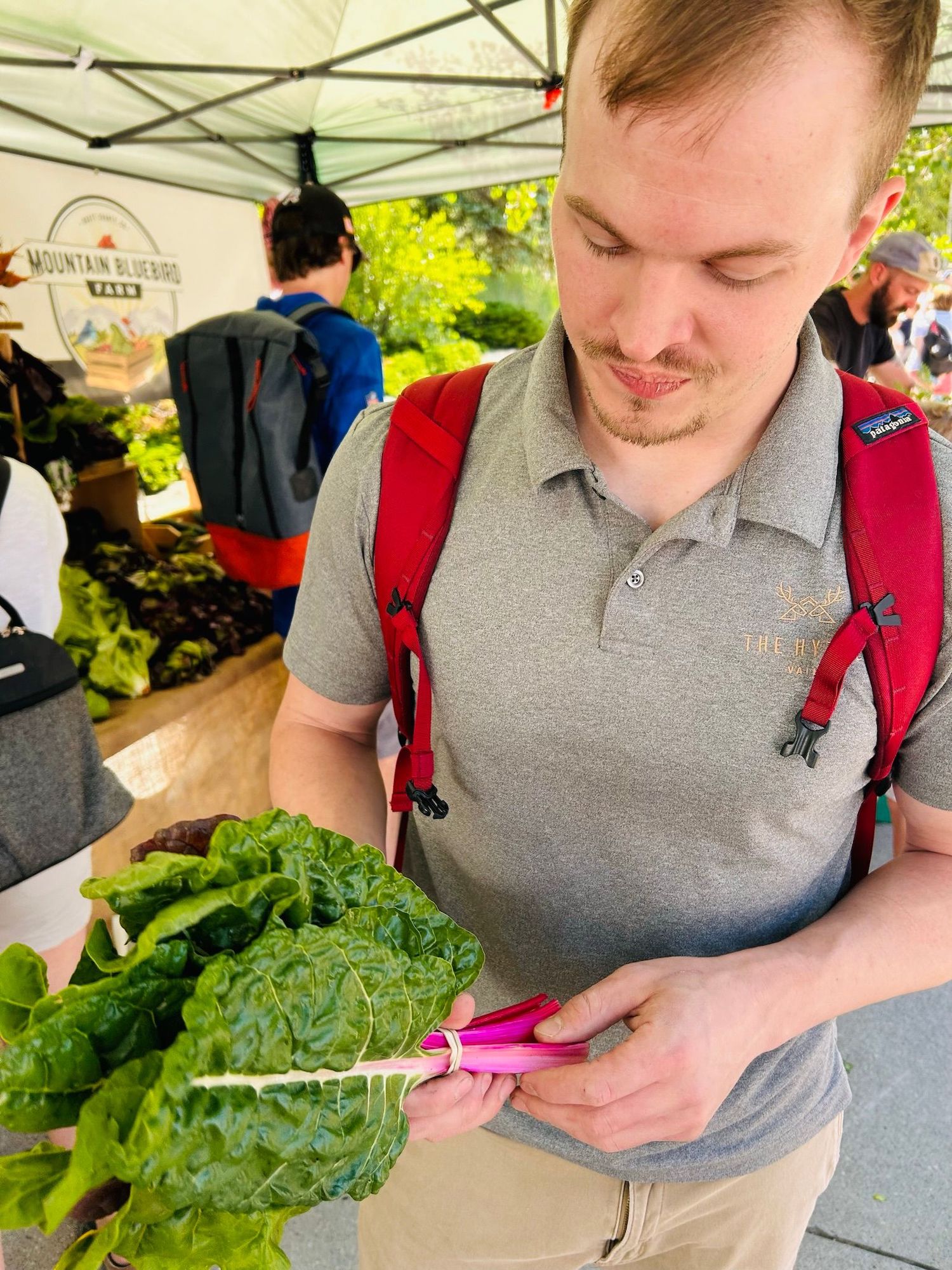 Farmer’s market chef-led excursions offered at The Hythe Vail ...