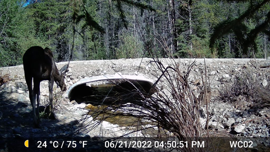 Homestake Road above Red Cliff will be closed for repairs between Aug ...