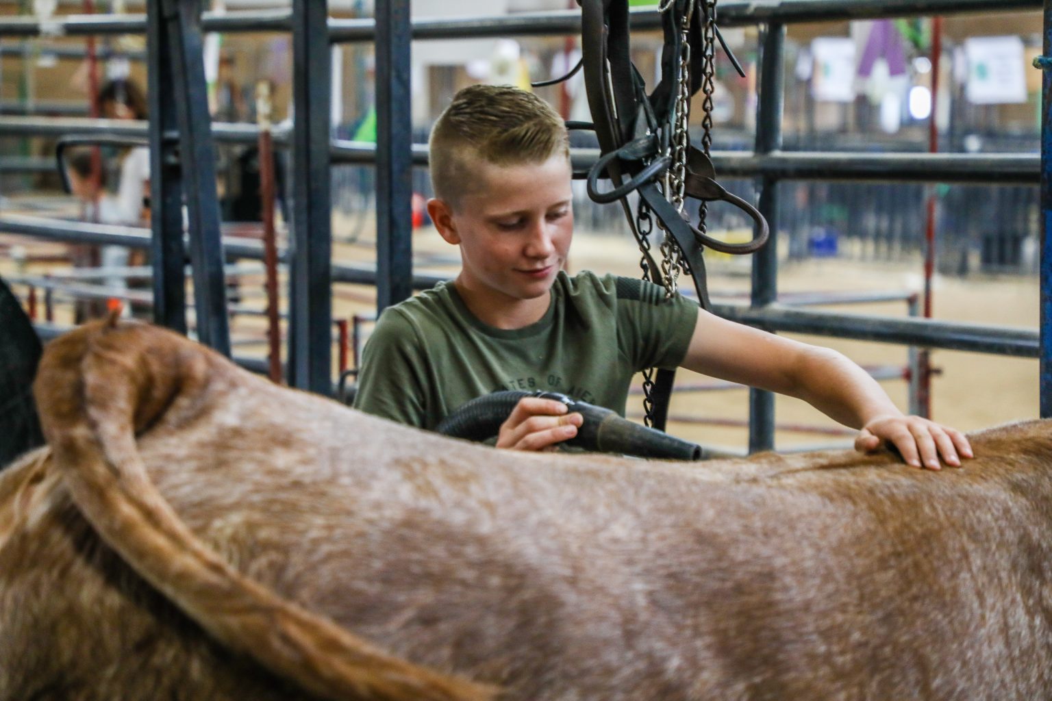 PHOTOS: 4H participants show off prized animals at Eagle County Fair ...