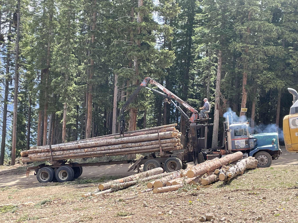 Aspen Mountain expansion proceeding on track with logging, lift ...