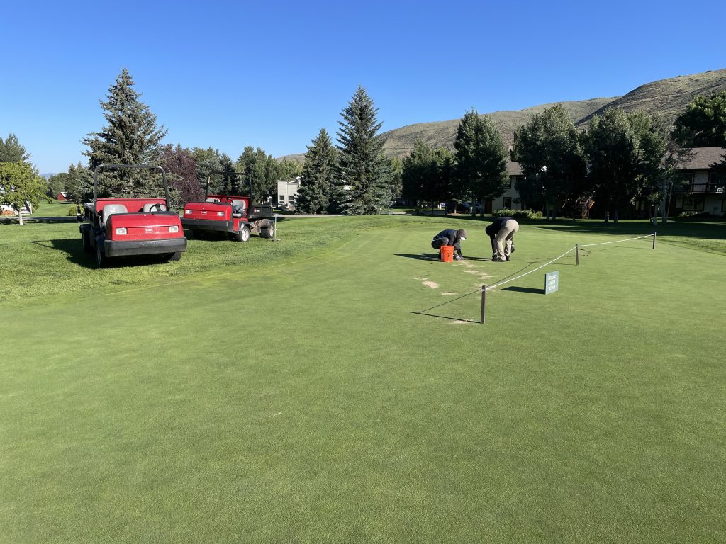 Vandalism on the EagleVail golf course causes at least $15,000 in ...
