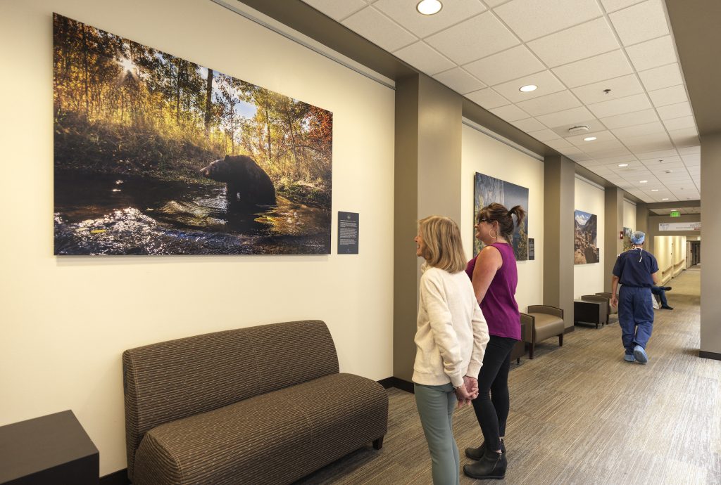 At Vail Health, nature photography helps with the healing process ...