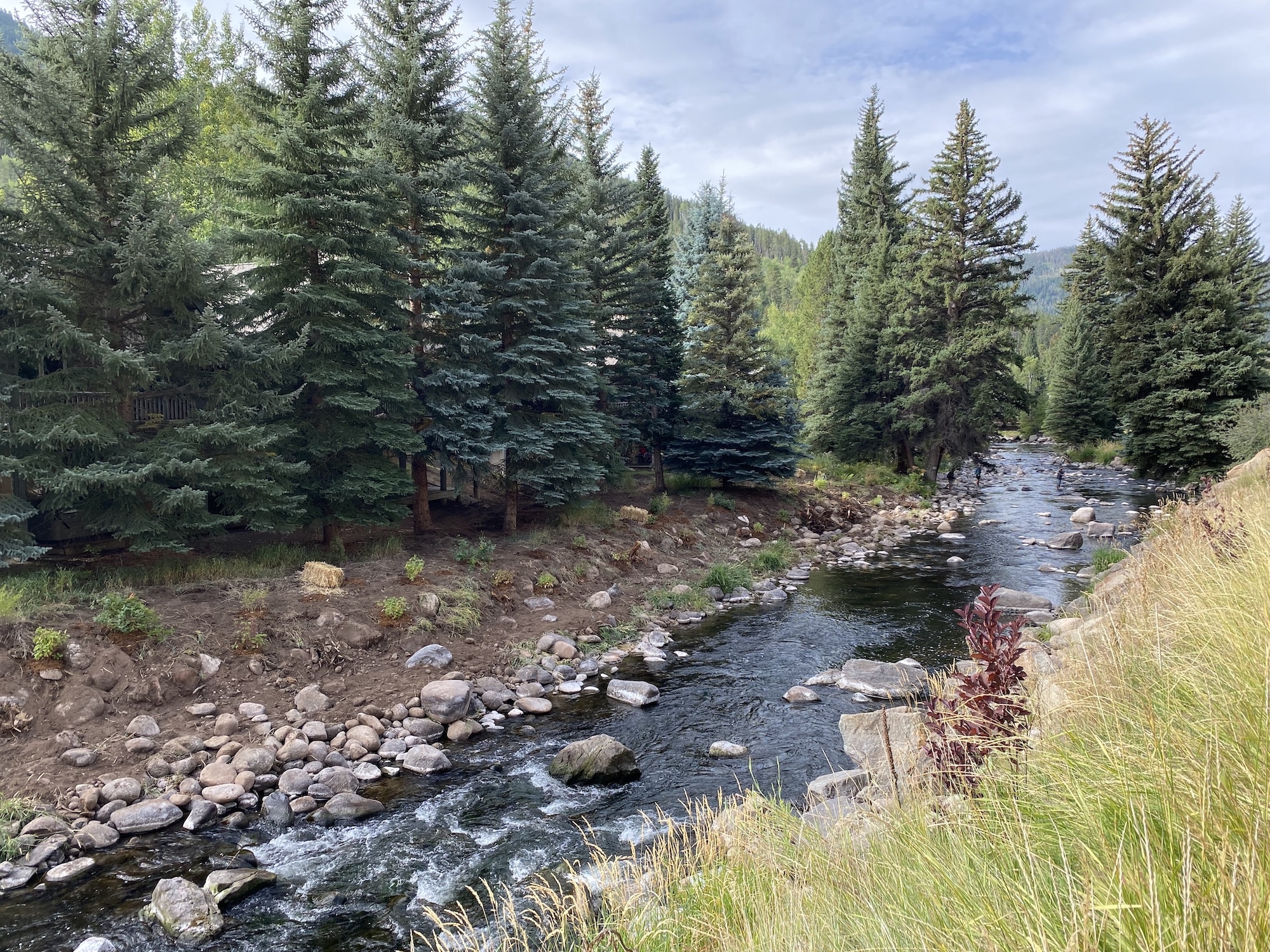 1 Eagle County stream is getting healthier quickly, but Gore Creek ...