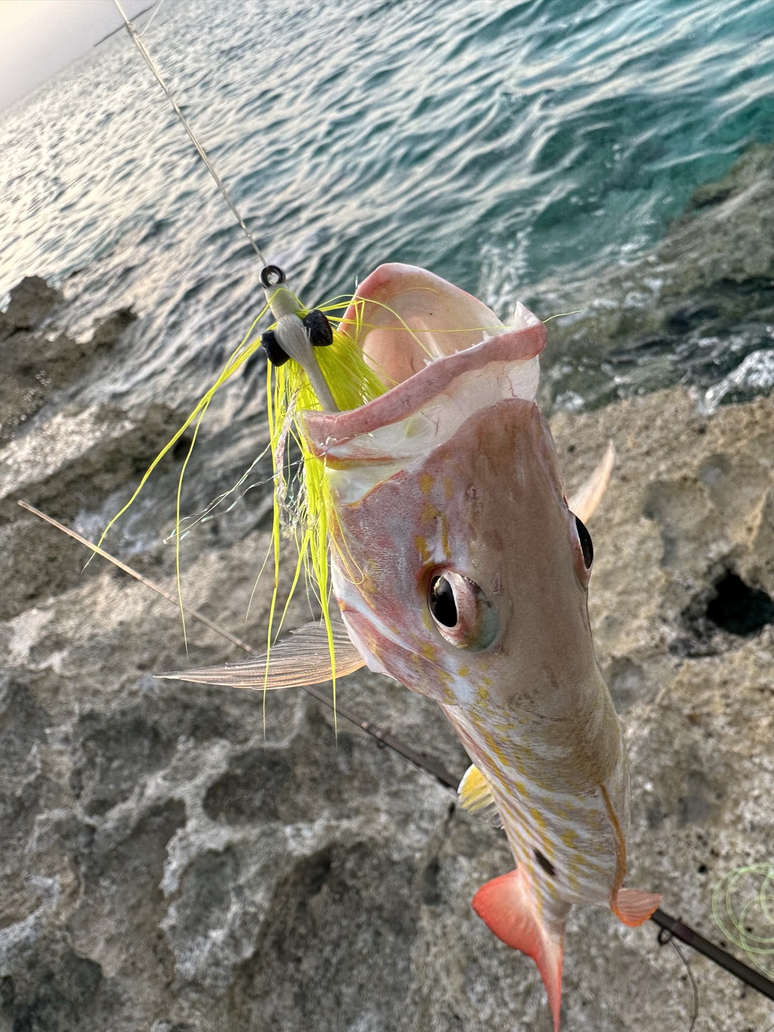 Salomone: If I could only have one | VailDaily.com