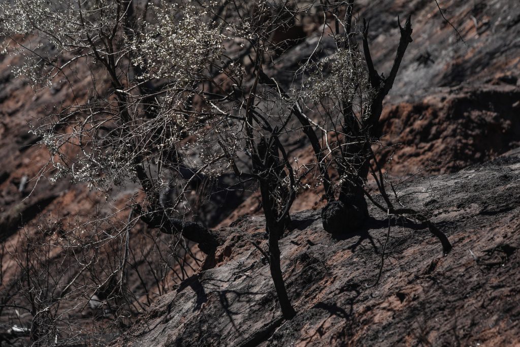 PHOTOS: Fire crews tamp down hot spots from wildfire between I-70 and ...