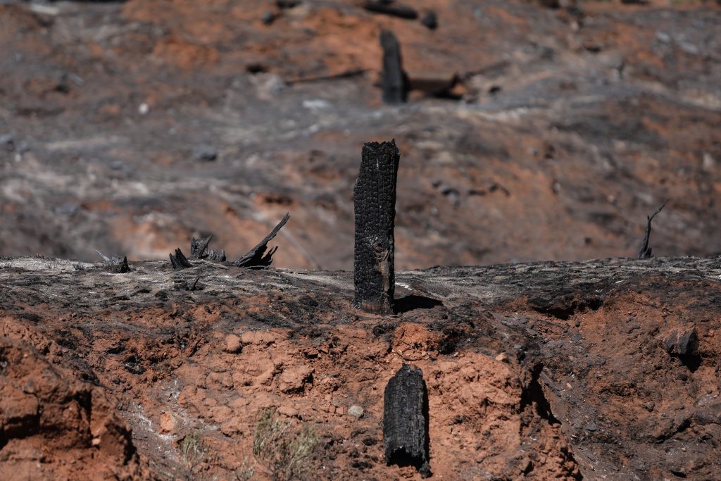 PHOTOS: Fire crews tamp down hot spots from wildfire between I-70 and ...