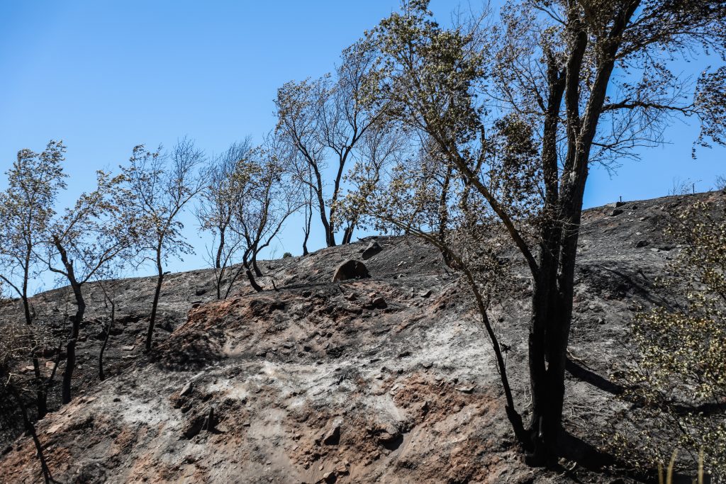 PHOTOS: Fire crews tamp down hot spots from wildfire between I-70 and ...