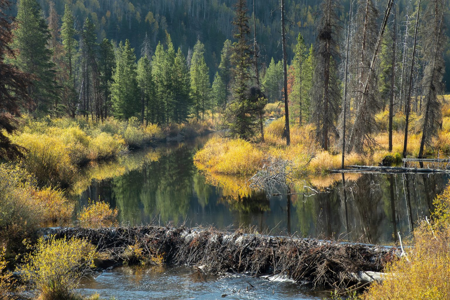 Iconic Western Slope landscapes face sharpened pressure | VailDaily.com