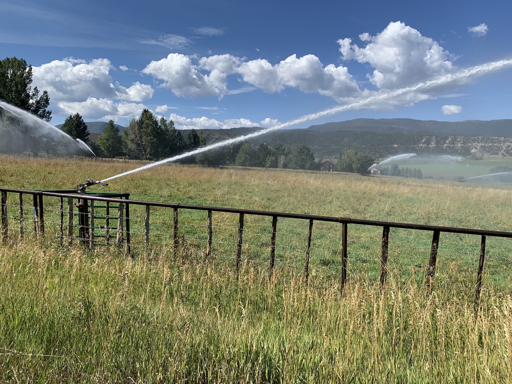 Colorado River managers vote to continue conservation program, with ...