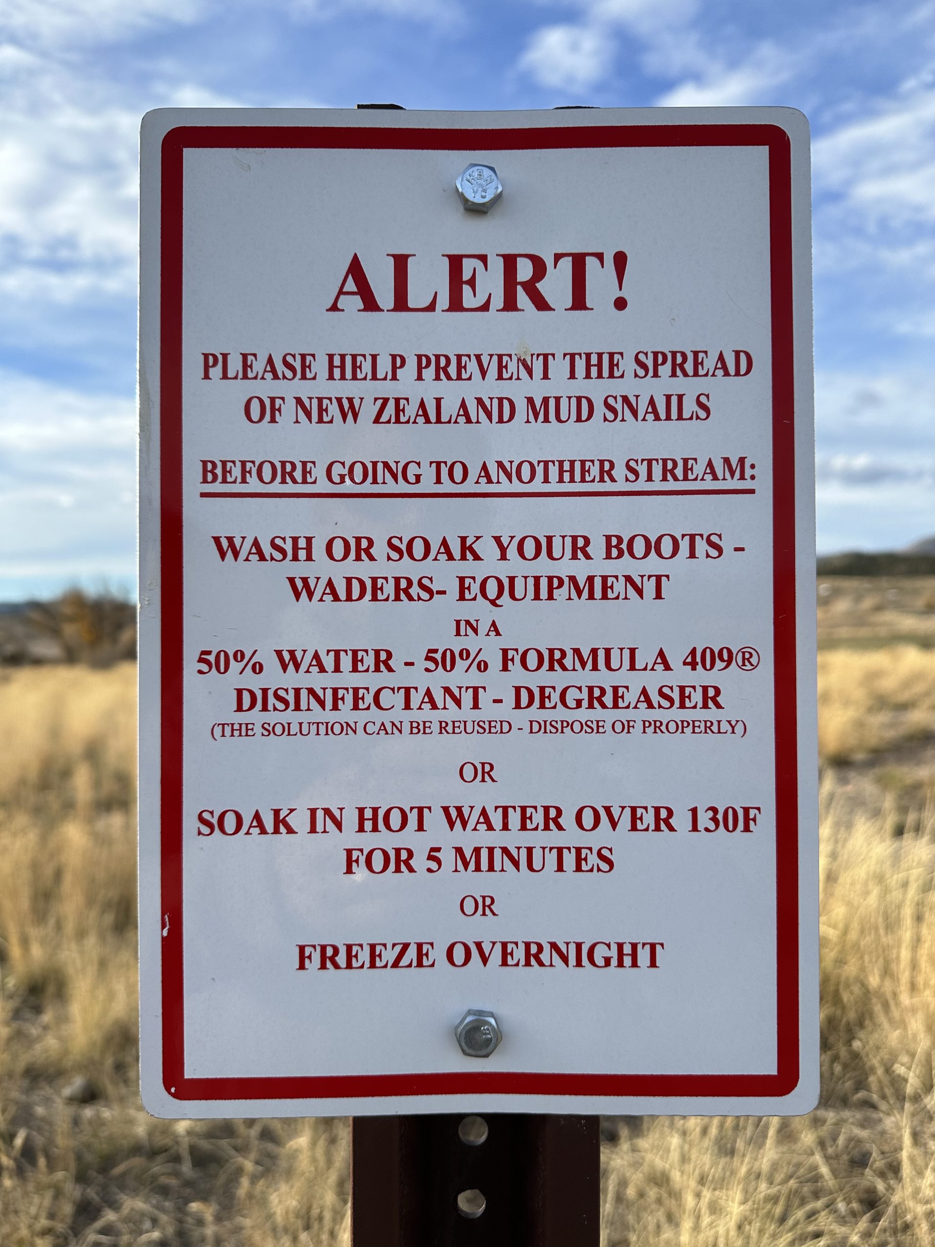 Salomone: Benefits from cleaning your fly fishing gear | VailDaily.com