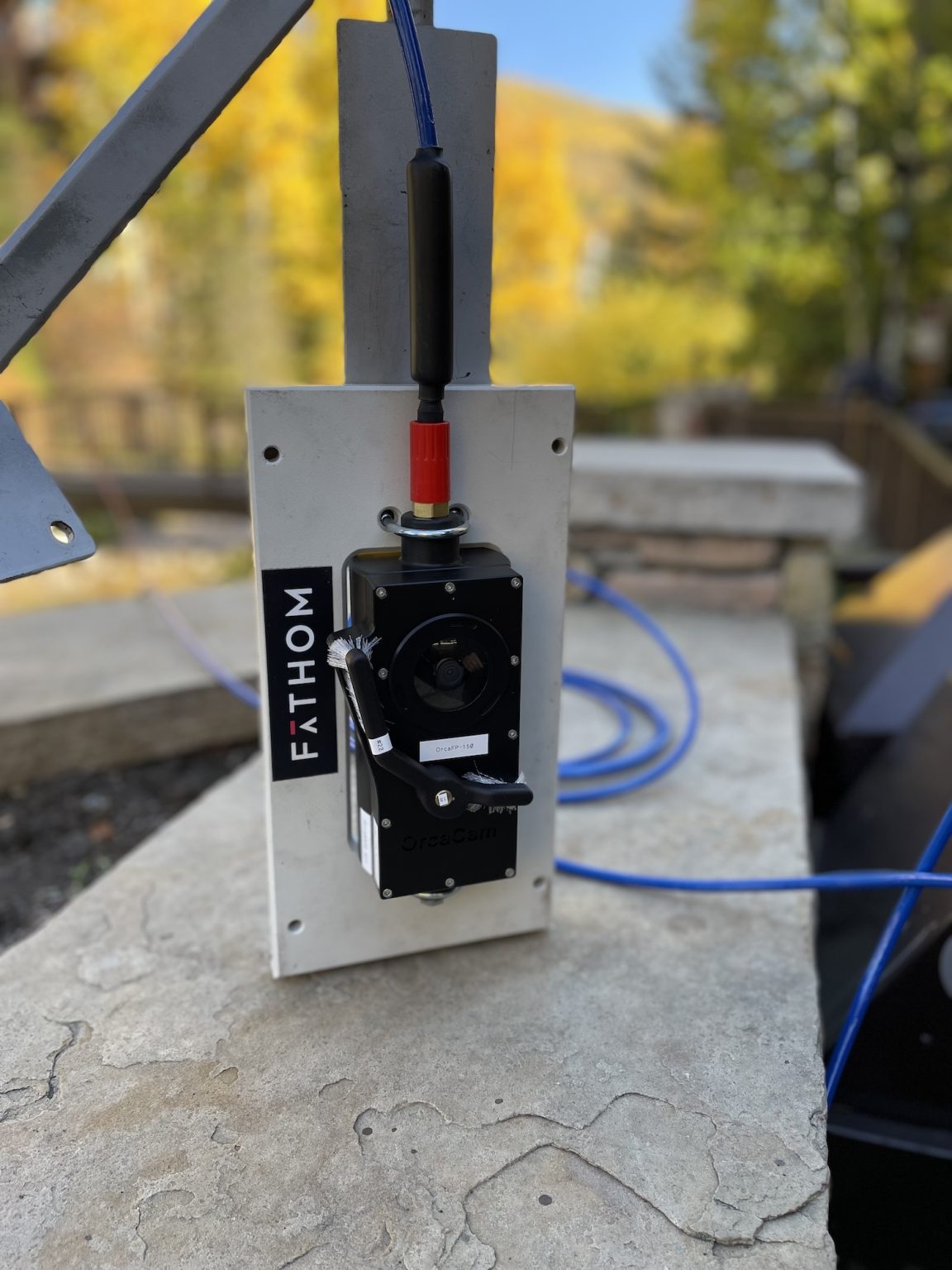 Vail’s fish cam is back: Underwater webcam is operating again on Gore ...