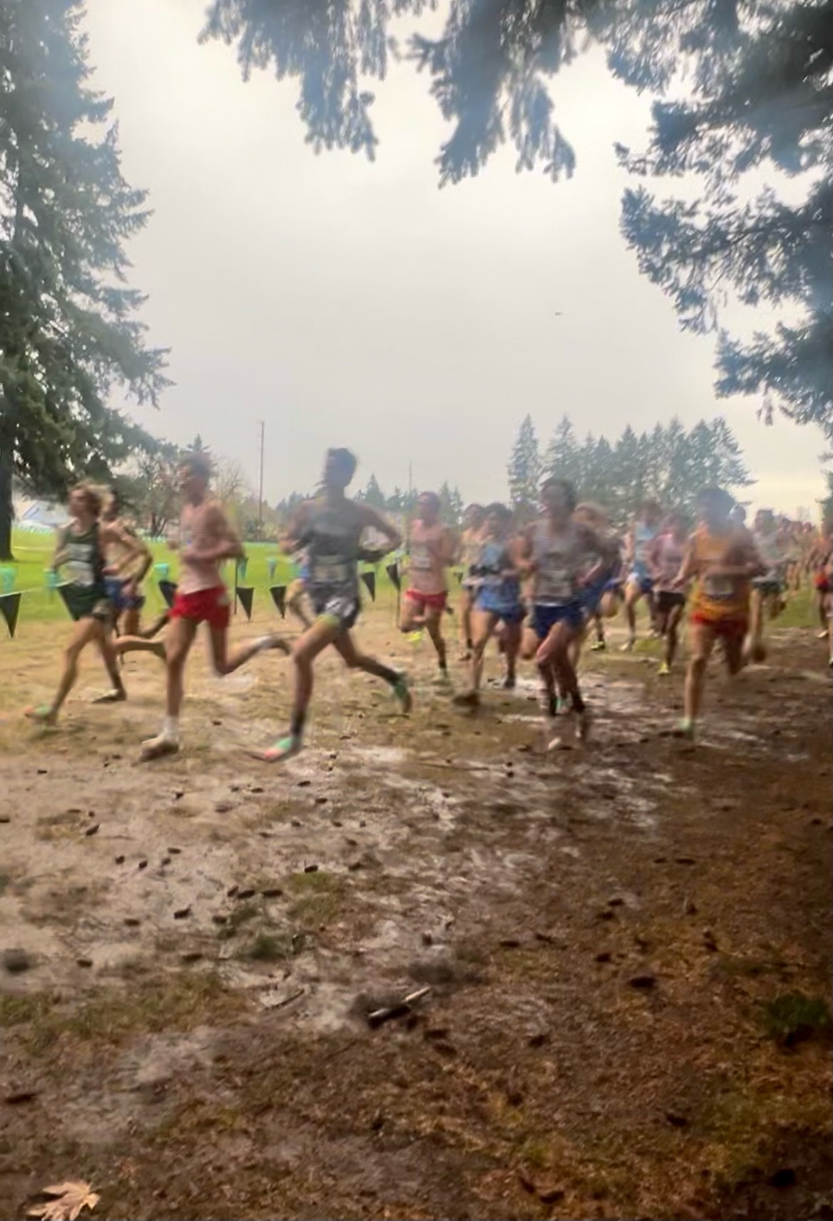 ‘Best feat ever:’ Battle Mountain cross country runner posts epic ...