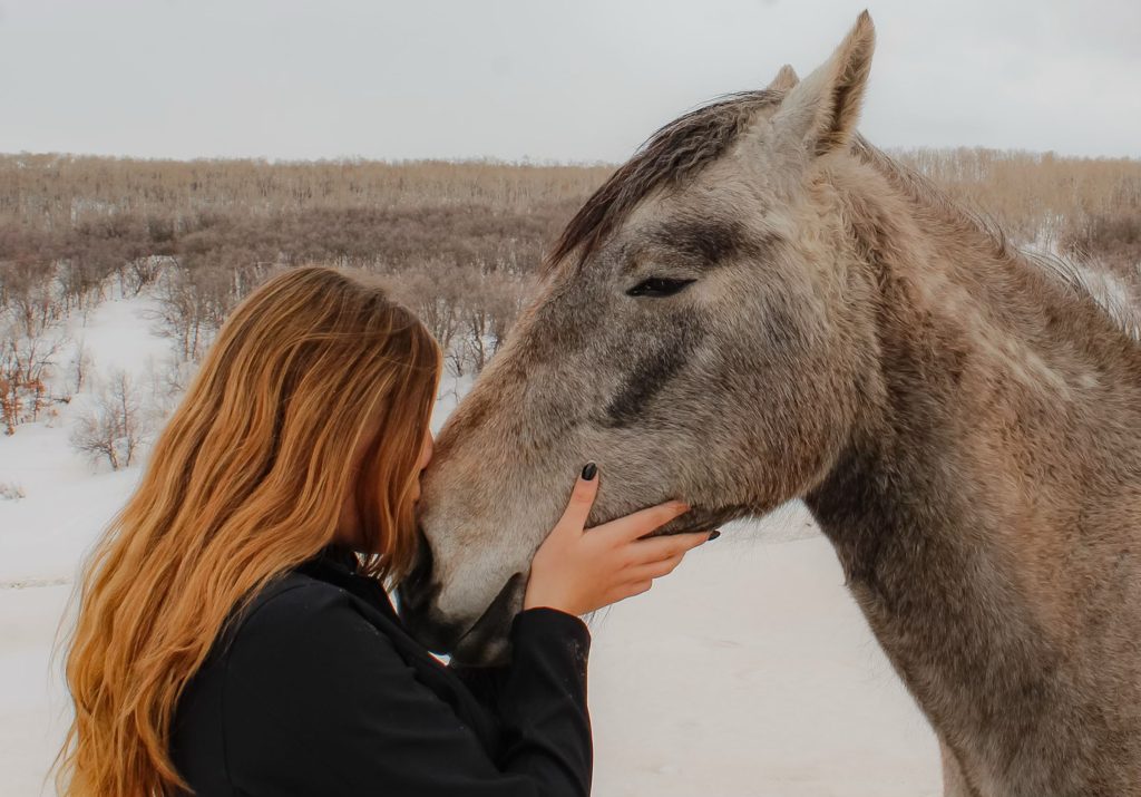 Women on a mission to give wild horses from Sand Wash Basin forever homes | VailDaily.com