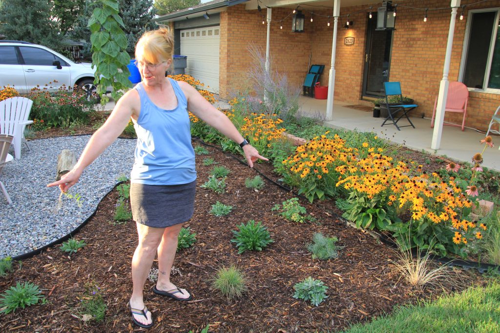 The outliers in urban residential landscaping: Why these homeowners ...