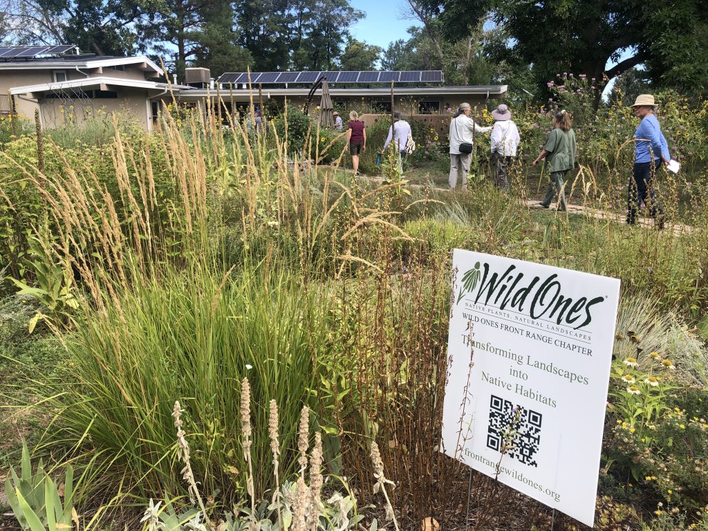 The outliers in urban residential landscaping: Why these homeowners ...