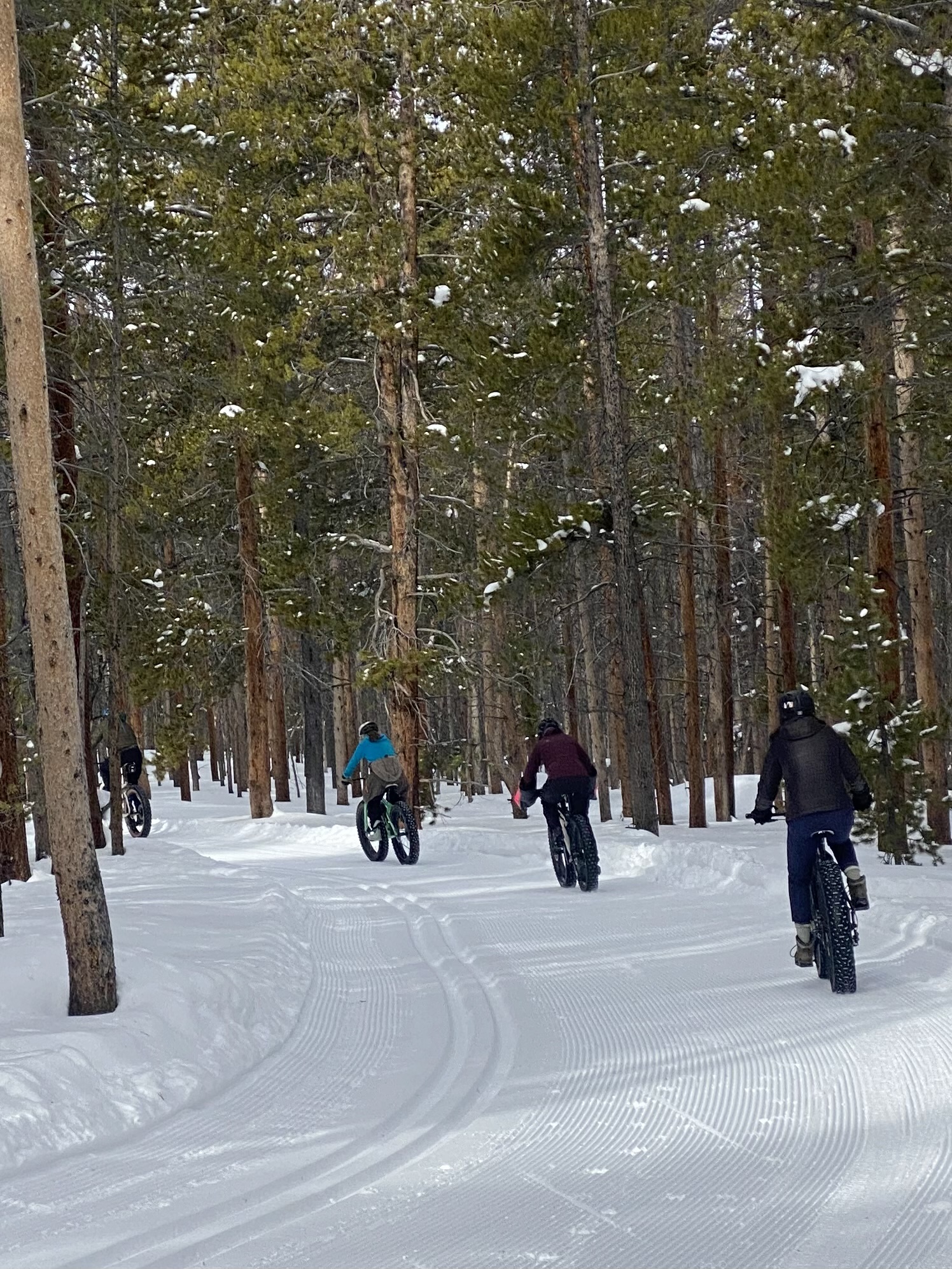 Fat Bike Worlds returns to Colorado – where it all began | VailDaily.com