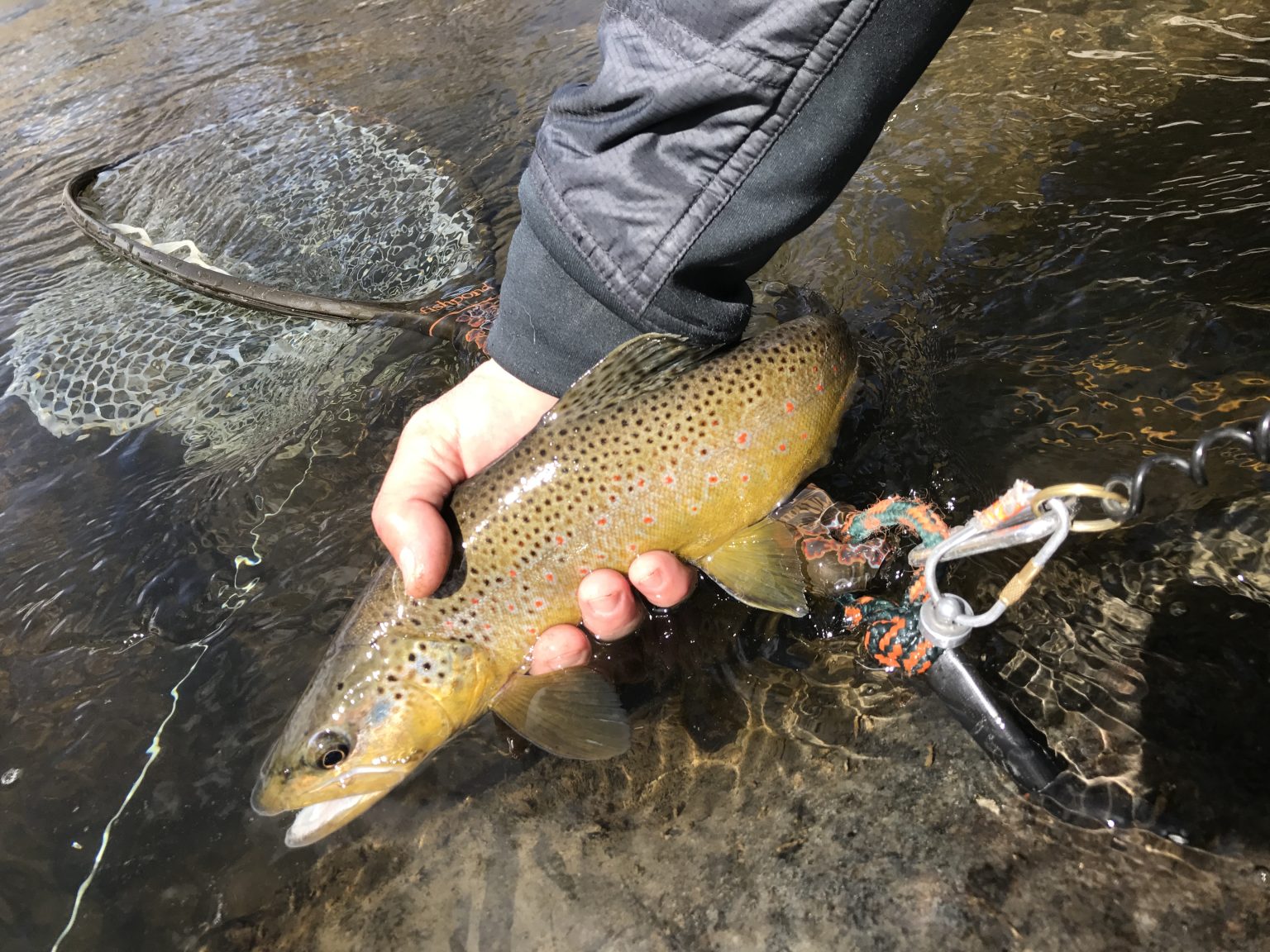 Salomone: Pieces of the river — riffle, run and pool | VailDaily.com