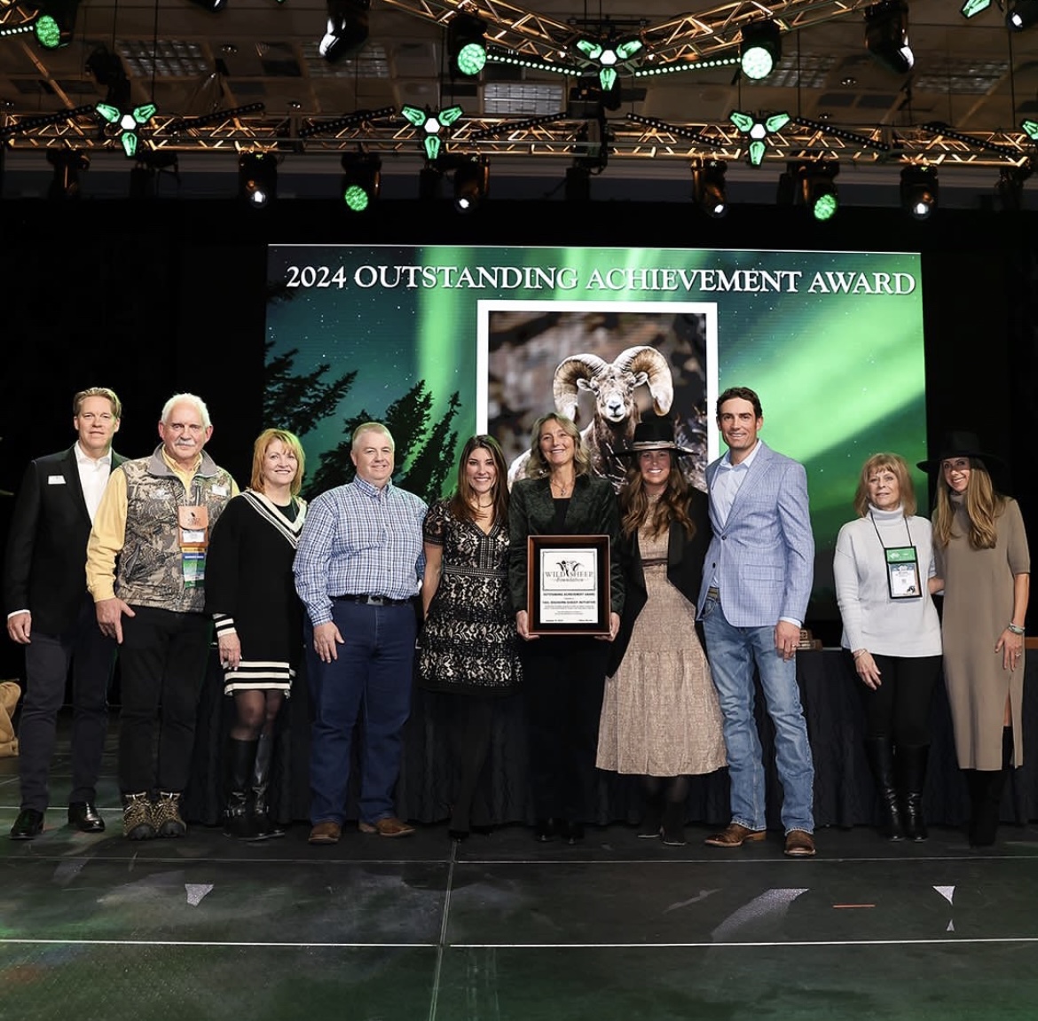 Vail Bighorn Initiative receives award from Wild Sheep Foundation ...