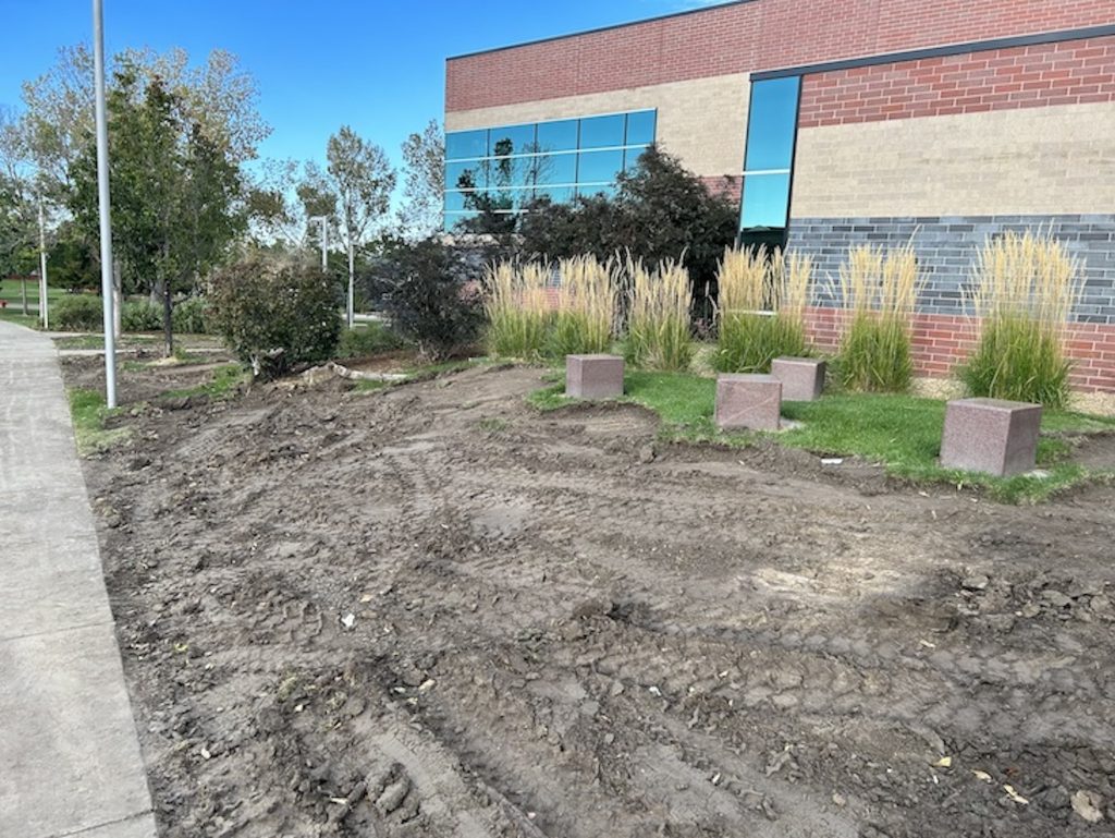 Bill banning new, non-functional turf for local governments passes both ...