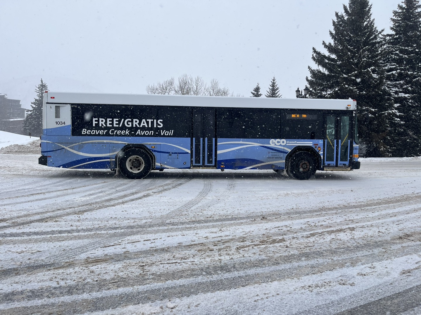 3 ECO Transit routes will be fare-free this summer, with a catch ...