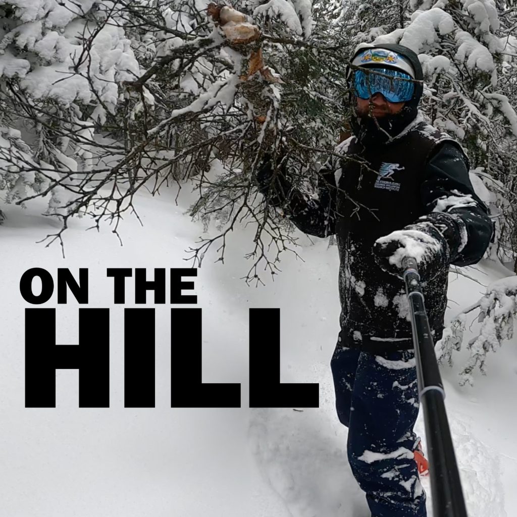 VIDEO: Vail trees after 17 inches of new snow | VailDaily.com