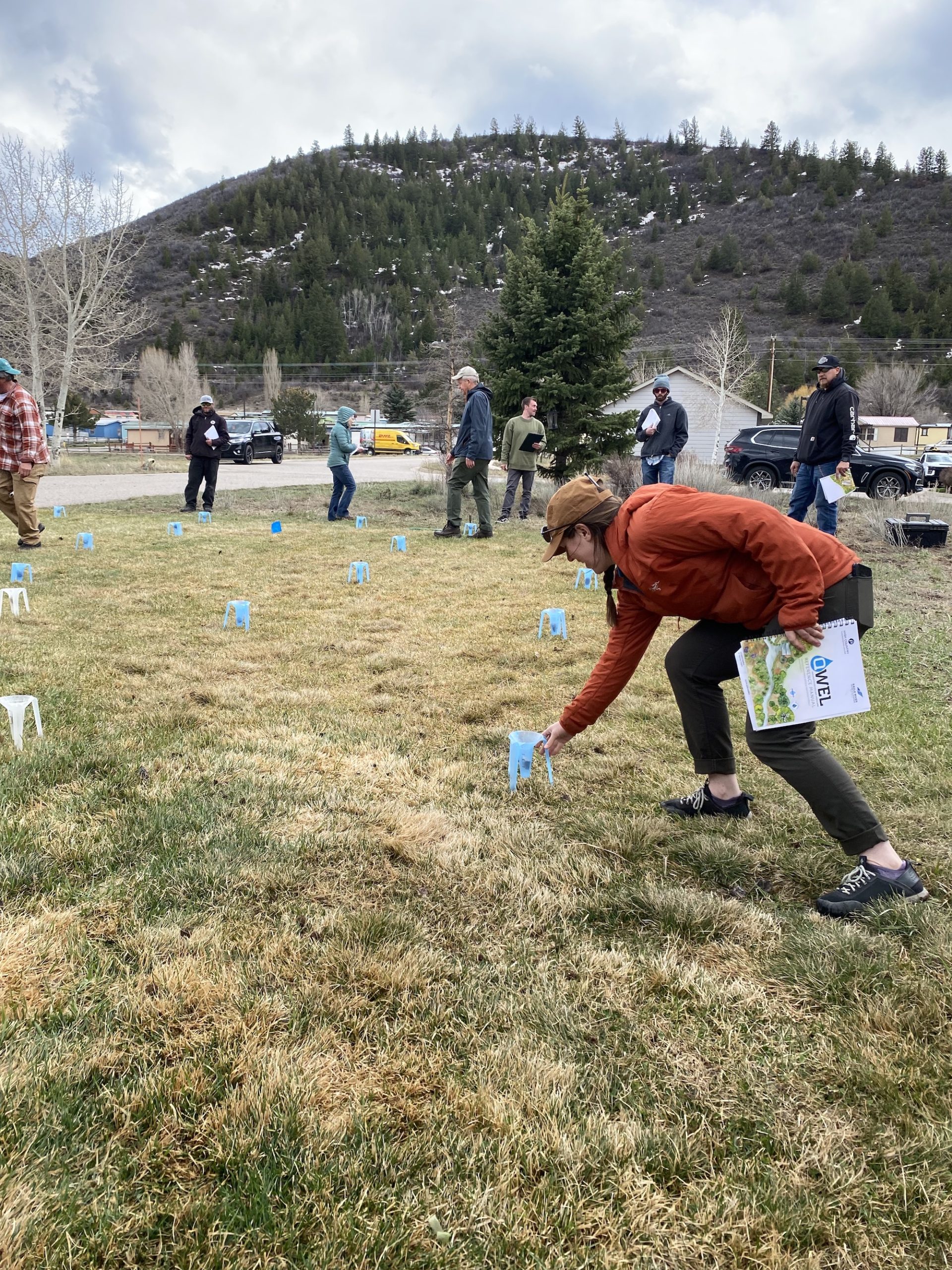 Eagle County’s Beyond Lawn program is more than just ripping up turf ...