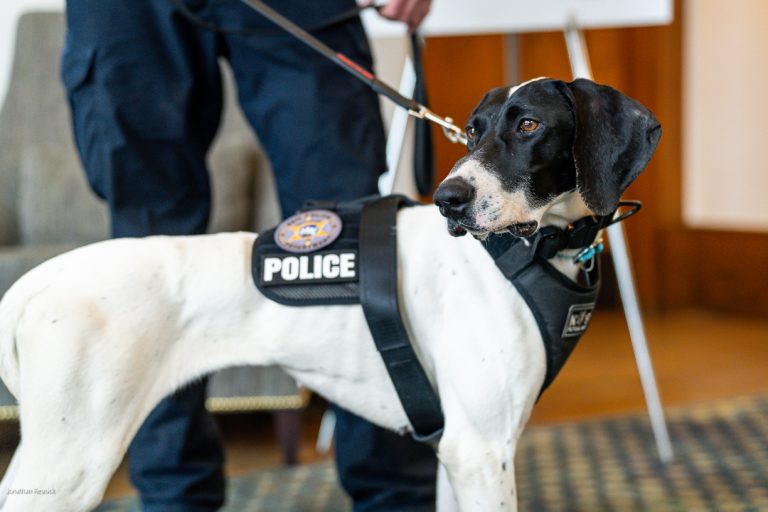 Vail Police Department’s newest K-9 members are helping to sniff out ...