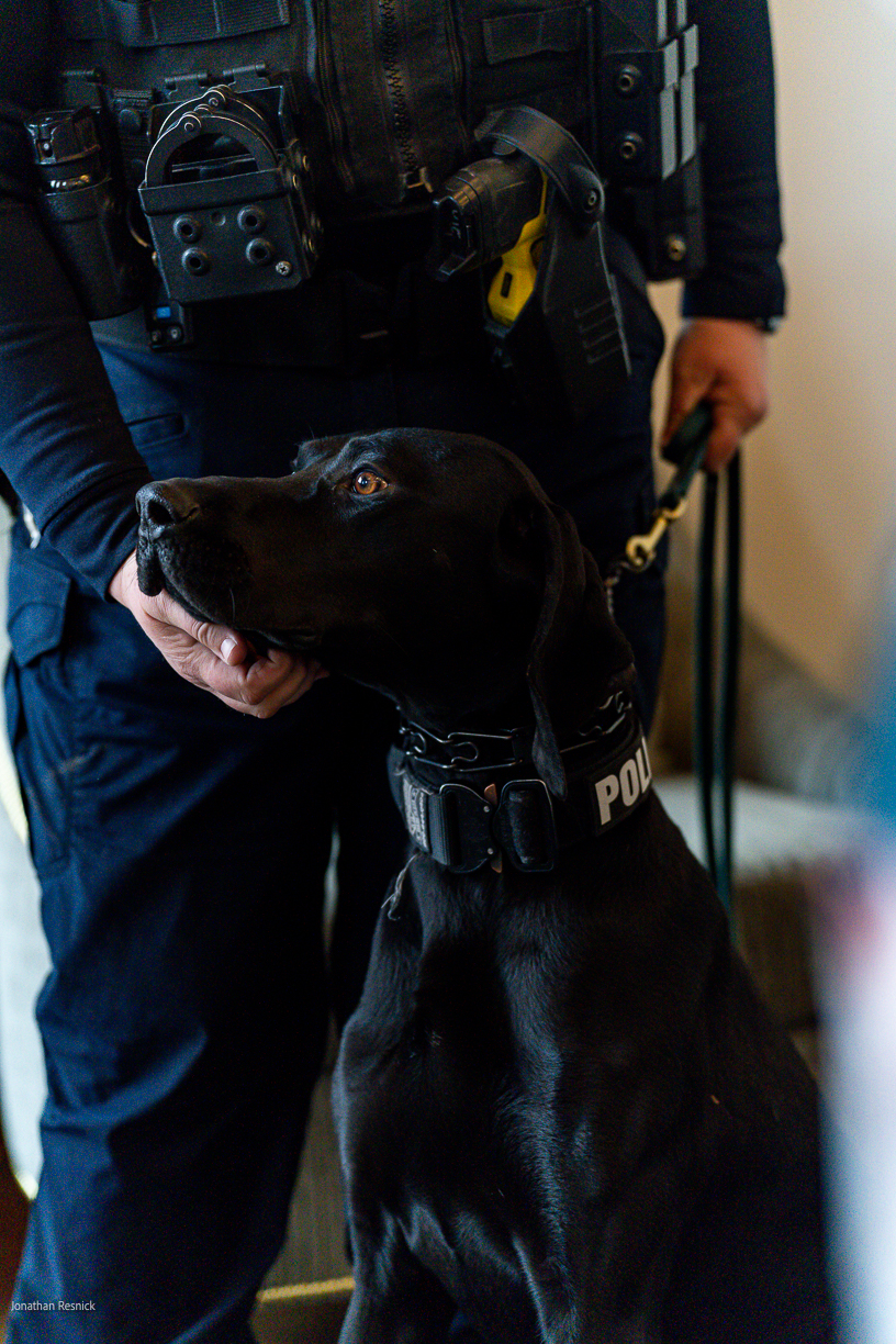 Vail Police Department’s newest K-9 members are helping to sniff out ...