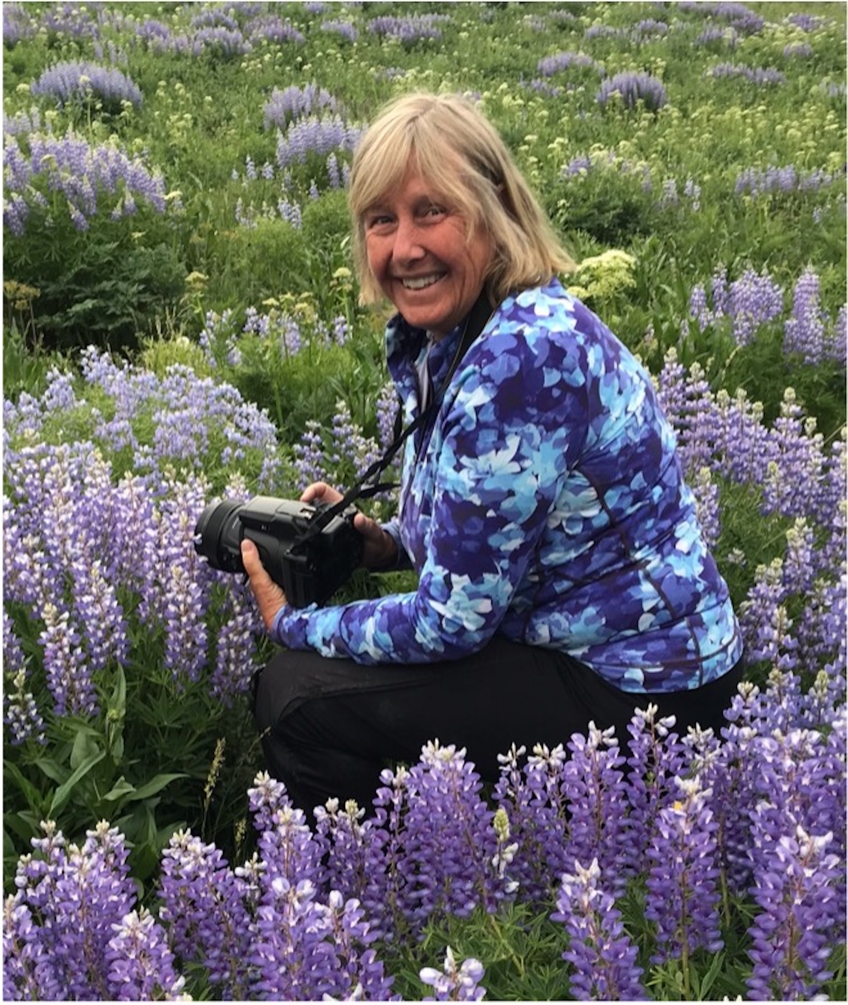 Meet Your Artist: Katie Dolan | VailDaily.com